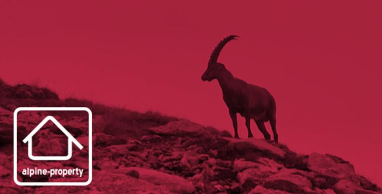 The Alpine Property Blog - Selling properties in the Alps since 1999